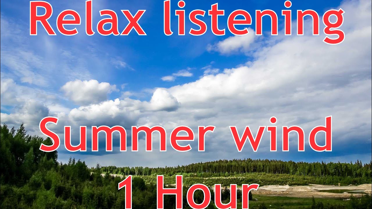 Summer wind 1 hour - Best Ambient sounds from nature - YouTube