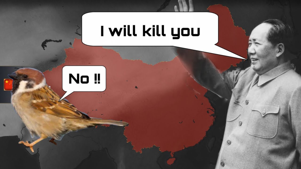 Mao Birds War | age of civilization 2 - YouTube