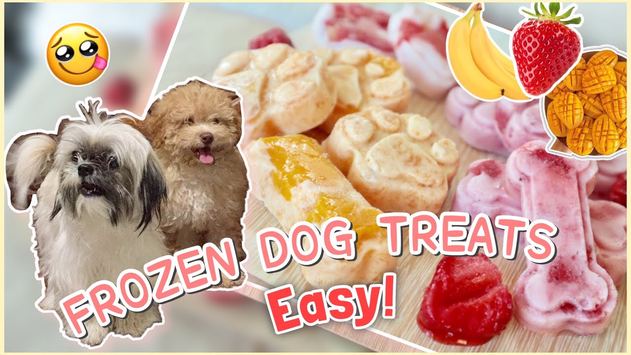 PAANO GUMAWA NG HOMEMADE FROZEN TREATS FOR DOGS Easy How To Make paano-gumawa-ng-homemade-frozen-treats-for-dogs-easy-how-to-make