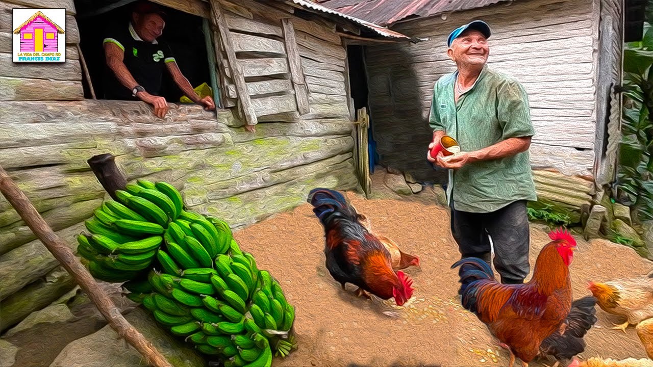 VIDEOS DEL CAMPO LA VIDA DEL CAMPO RD,FRANCIS DIAZ - YouTube