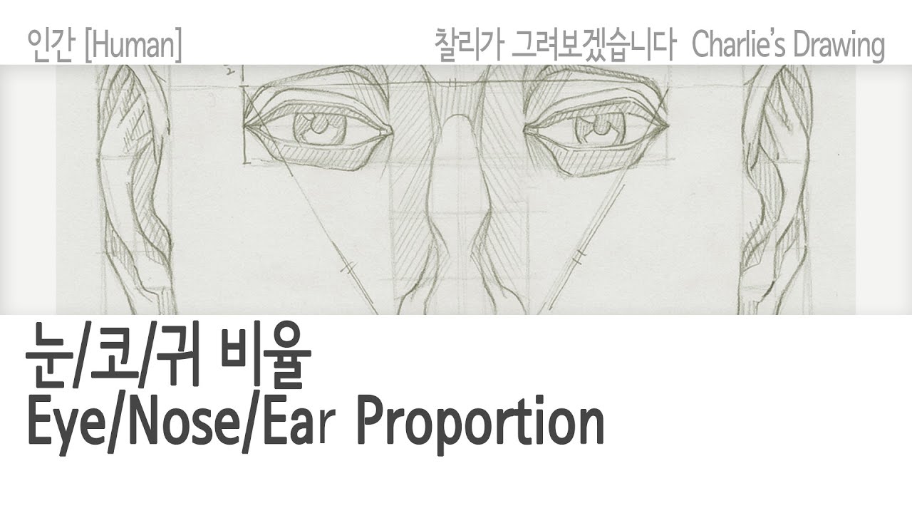 비율(Proportion)04 - 눈 /코 /귀 비율(Eye/Nose/Ear) - YouTube
