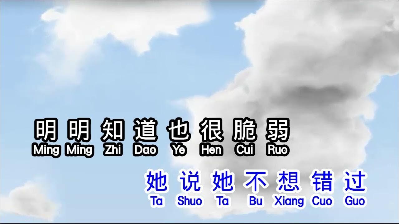 崔伟立 《 流泪的飞蛾 》 liu lei de fei e - YouTube