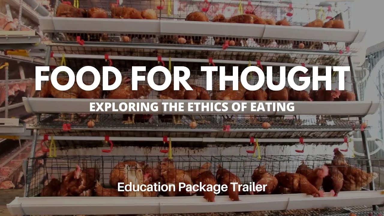Food For Thought Education Package Trailer - YouTube