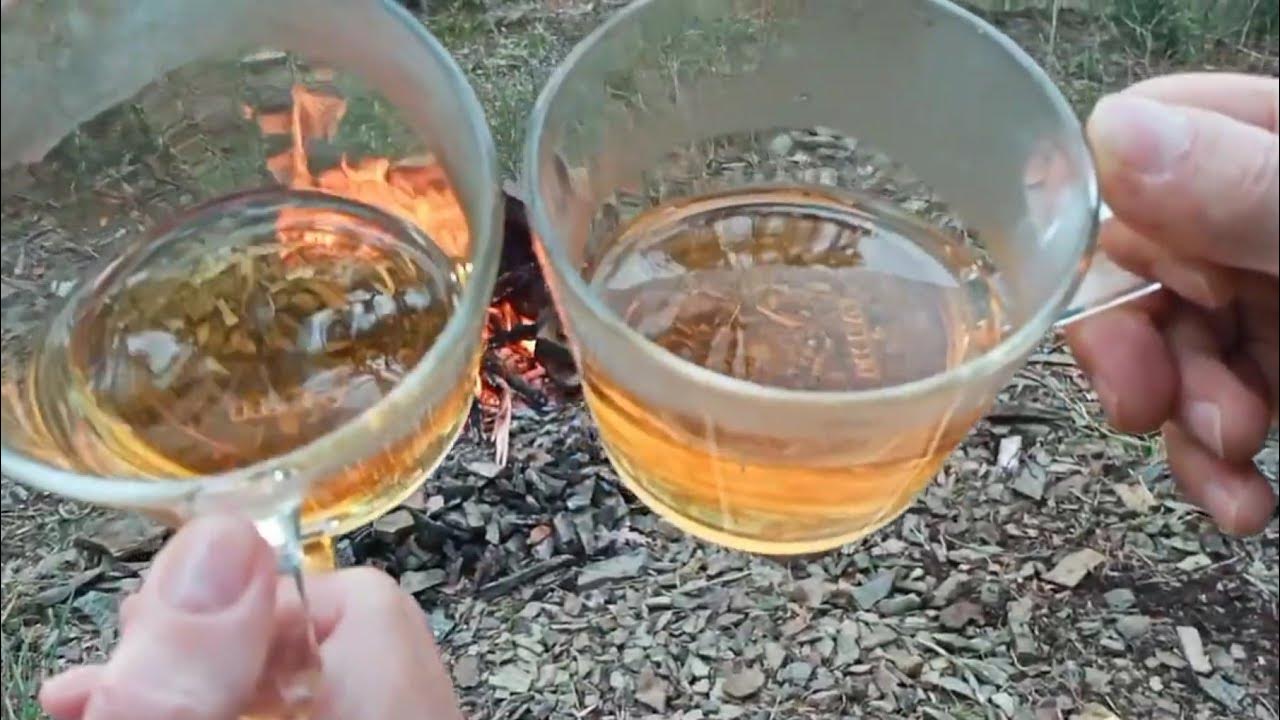 Можжевеловый чай - YouTube