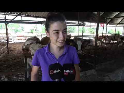 ‘Meltem’ ineğin selfie merakı izleyenleri gülümsetti!