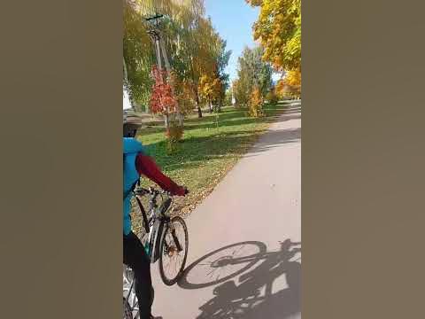Не нужно учится кататся на велосипеде,достаточно не боятся упасть ...