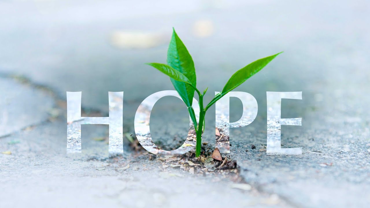 Finding Hope! 8/8/2023 - YouTube