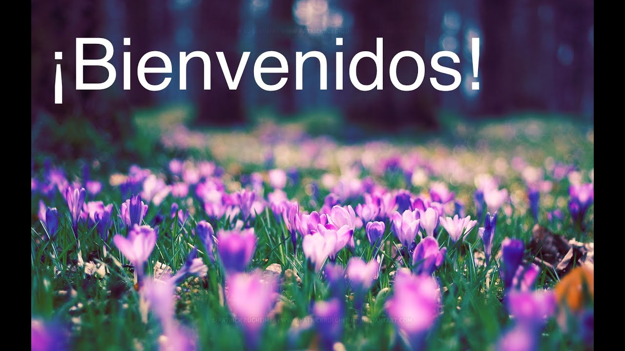 Feliz Sabado 4/15/23 - YouTube