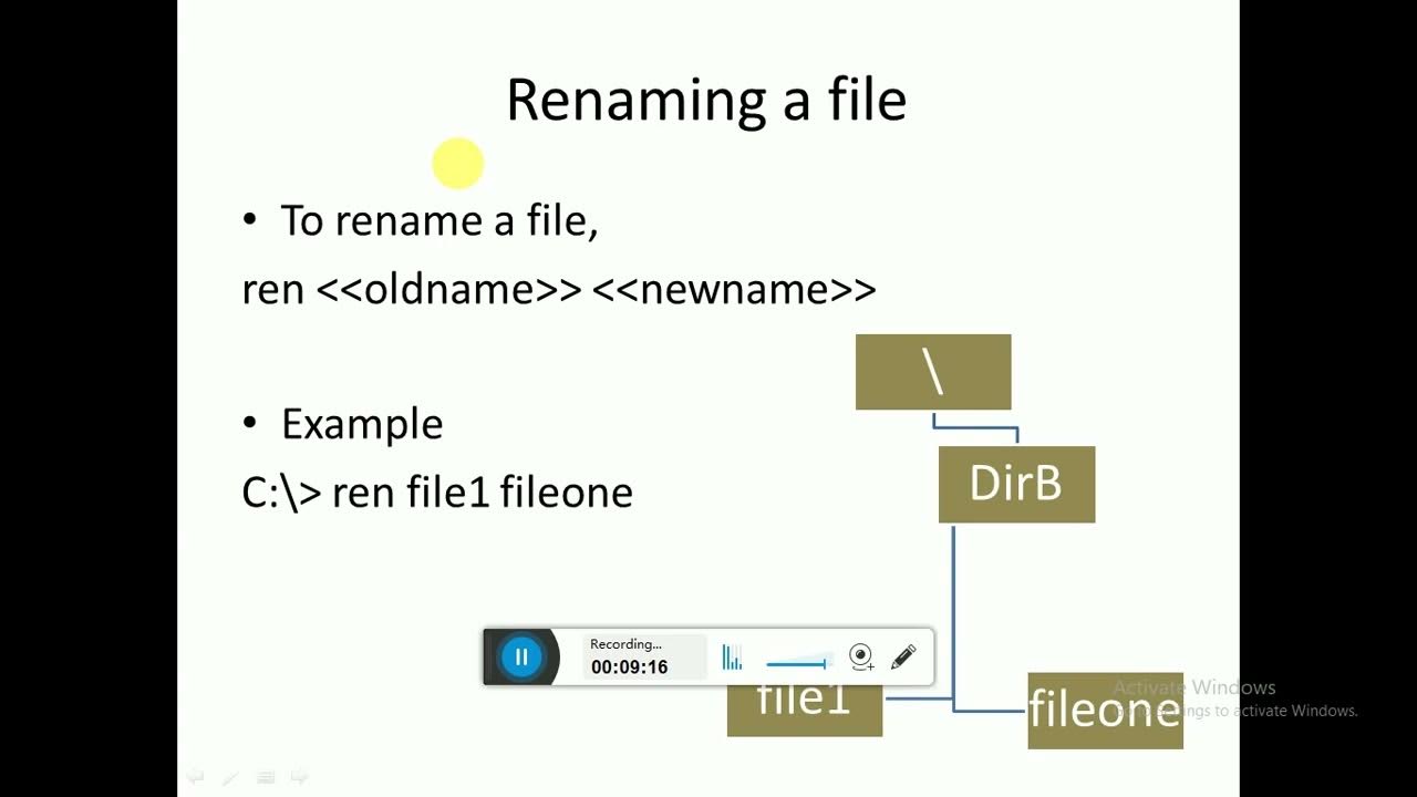 Session 4 File Management commands - YouTube