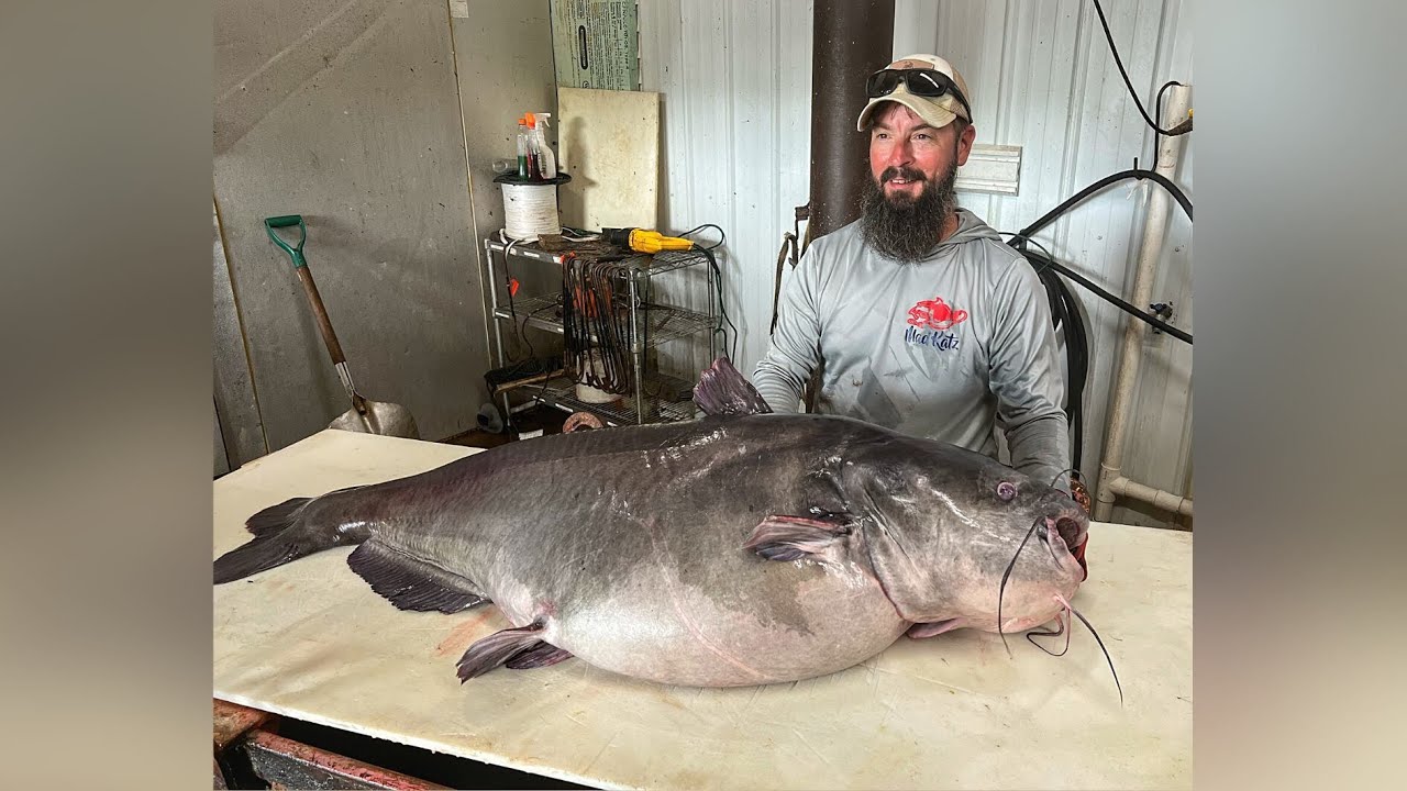 Catfish Tips & Tricks from TN State Record Holder Micka Burkhart! - YouTube