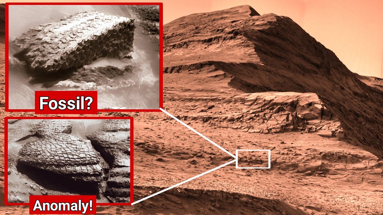 NASA's Perseverance Mars Rover Capture Unexpected Most Intriguing 4K ...