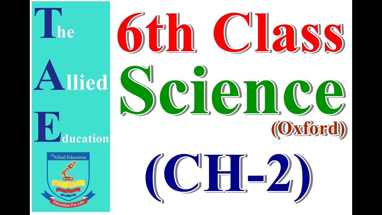 Oxford Amazing Science 6th Class Chapter 2 Topic Parts Of oxford-amazing-science-6th-class-chapter-2-topic-parts-of