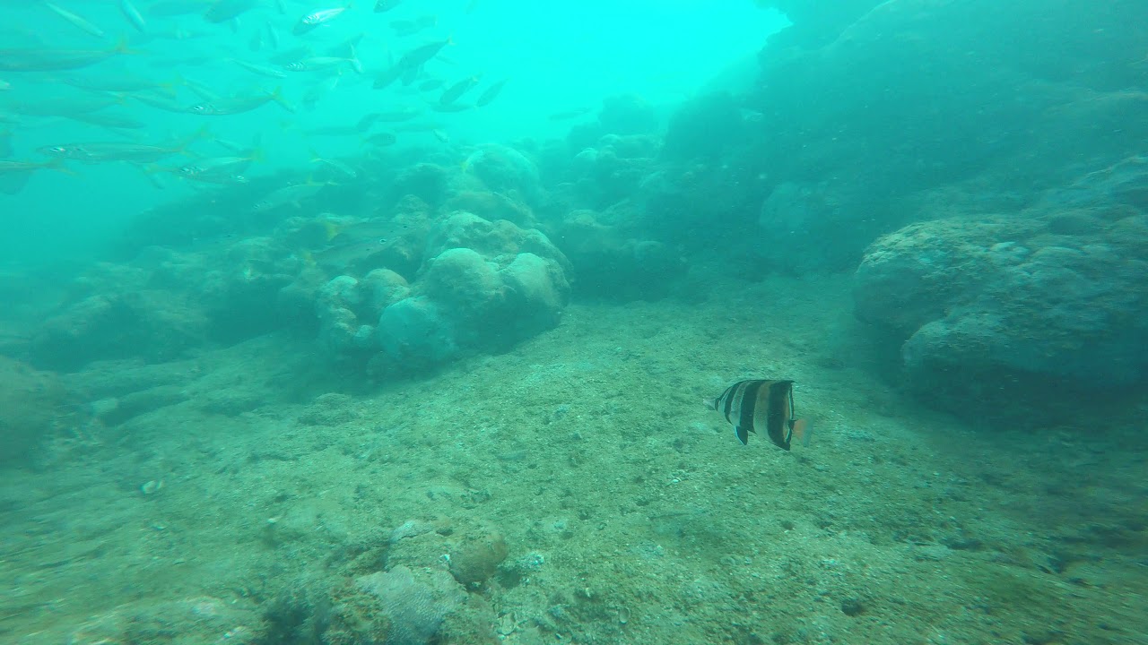 Dent_rock_eastern_talma - YouTube