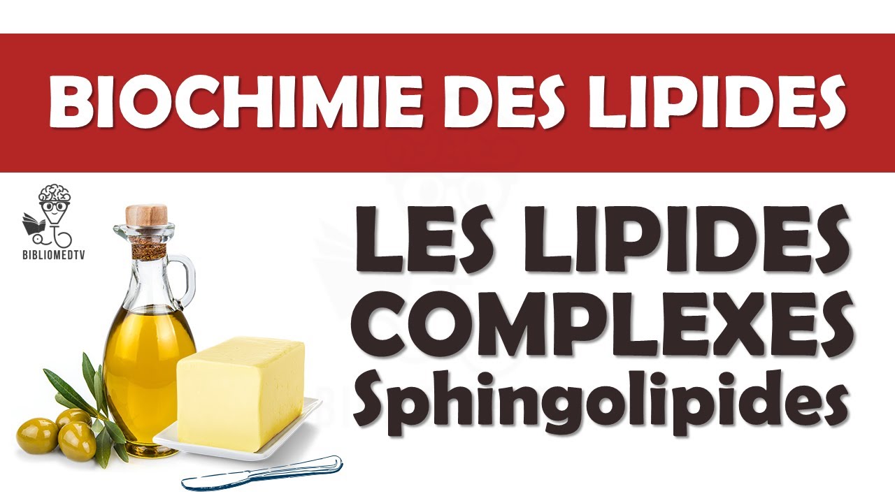 Biochimie des Lipides Complexes - Introduction aux Sphingolipides - YouTube