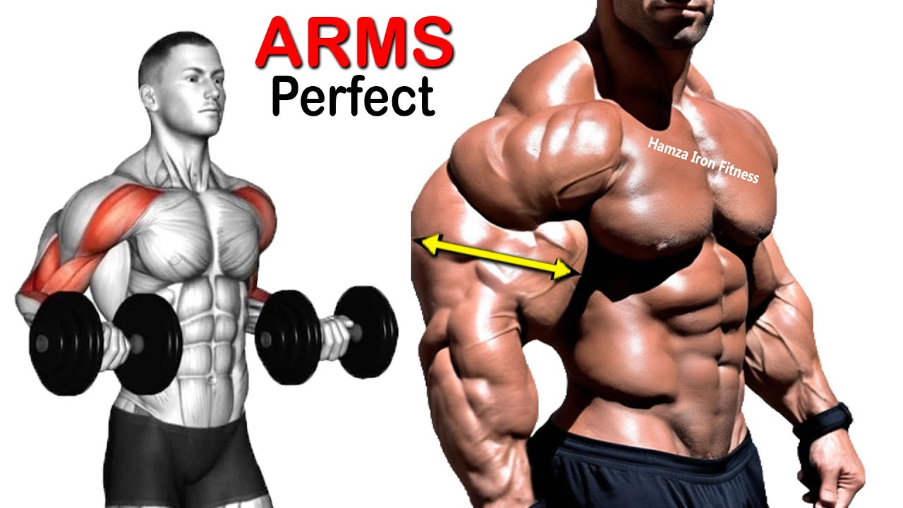 Best Bicep and Tricep Workout for Perfect WIDER ARMS - YouTube