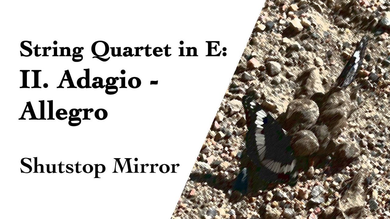 String Quartet in E: II. Adagio - Allegro | Shutstop Mirror - YouTube