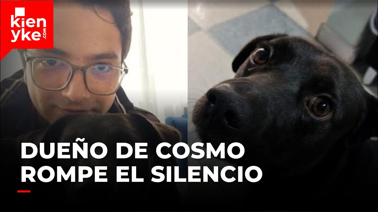 ¿Qué pasó con Cosmo y por qué su caso indigna a los bogotanos? - YouTube