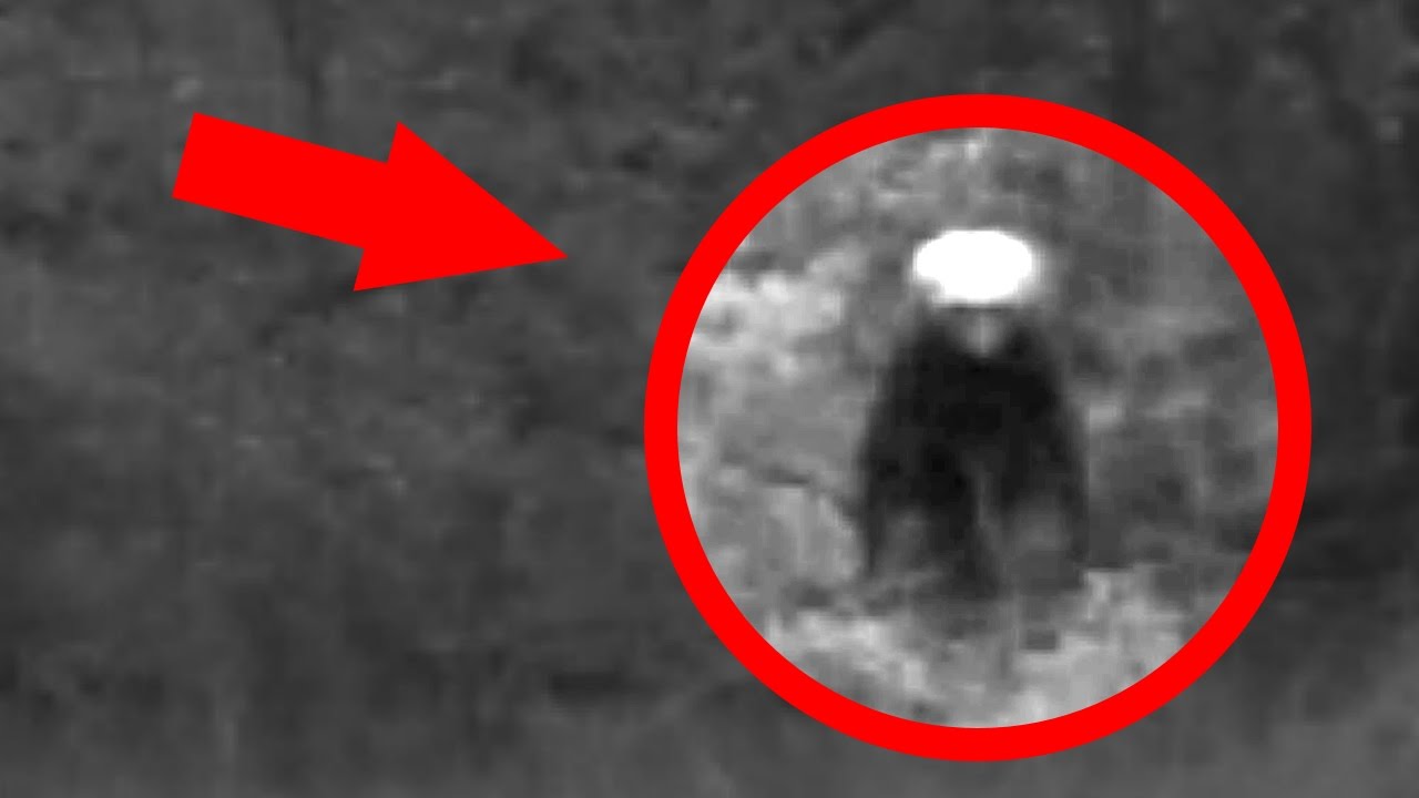 2017 Top 5 Aliens CAUGHT On Camera | Real Aliens Exist - YouTube
