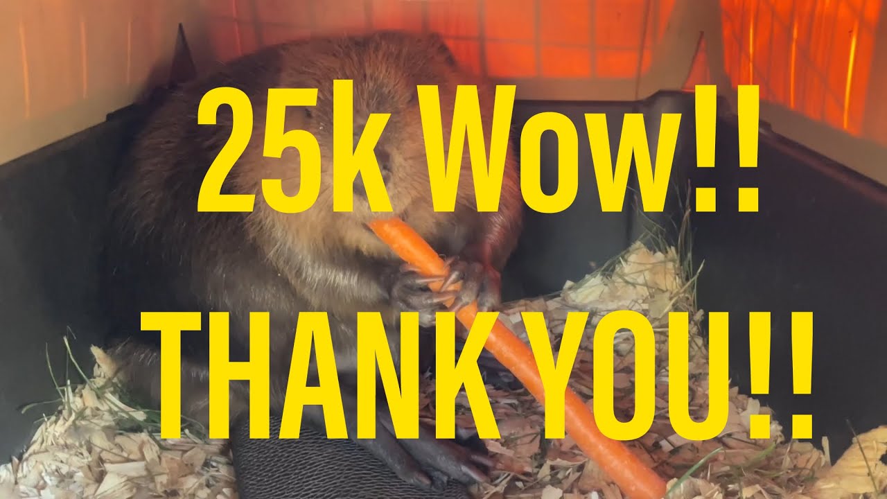 25k subscribers! - YouTube