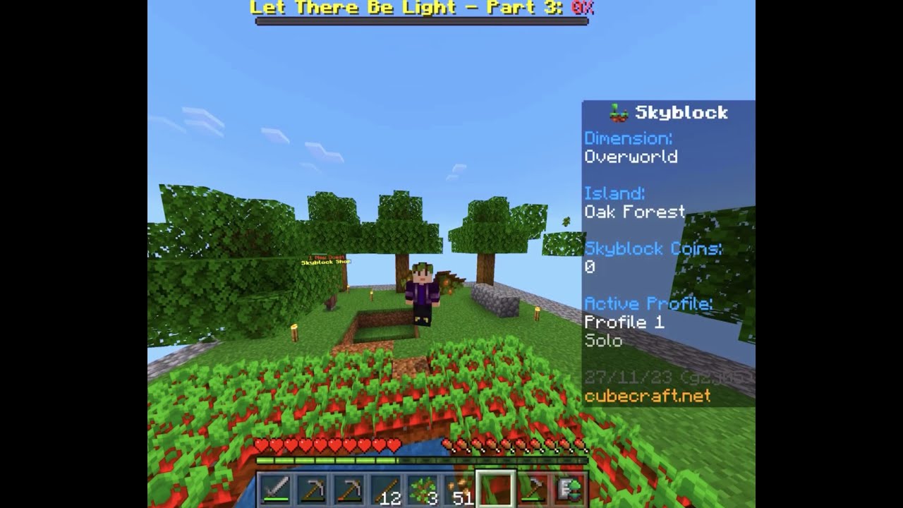 Llegamos a otra isla skyblocks - YouTube