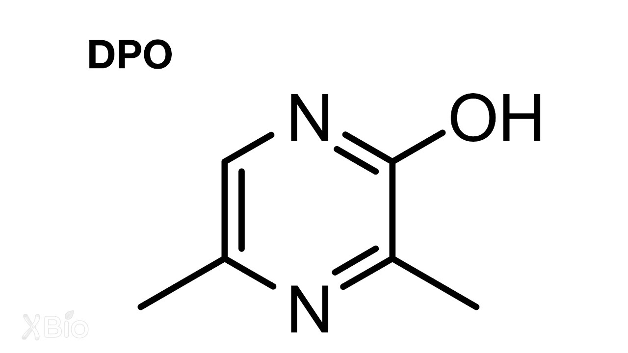 The Discovery of DPO and Its Potential for Treating Cholera - YouTube