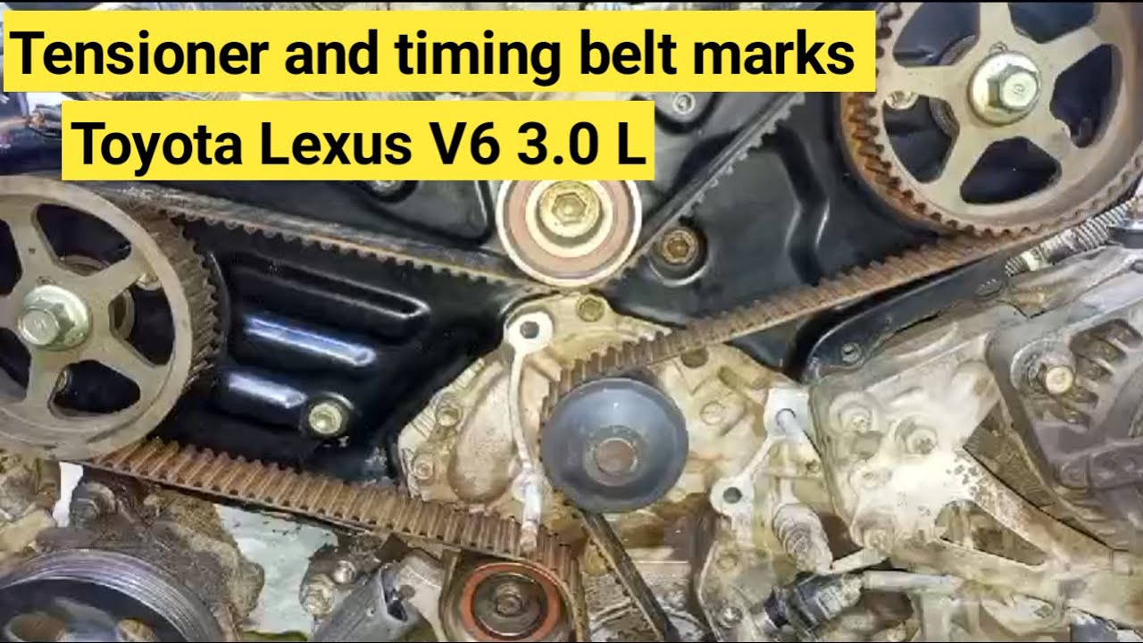 Timing belt and tensioner Toyota Lexus V6 3.0 liter 1MZ-FE/3.3 liter ...