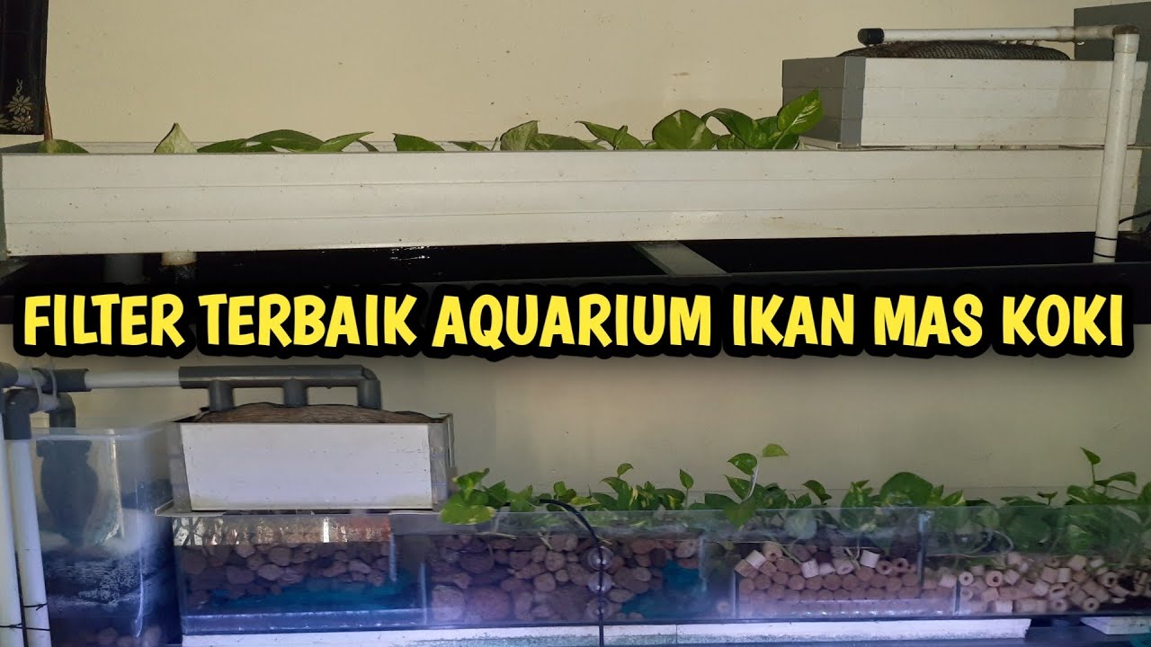 filter aquarium ikan mas koki terbaik || top filter talang atau top ...