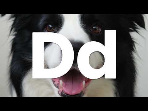 EASY PHONICS LETTER Dd | ABC Learning For Children - YouTube