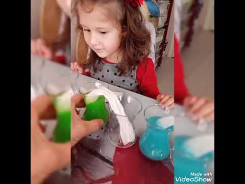 livanur yürüyen renkler deneyini gözlemliyor❤️