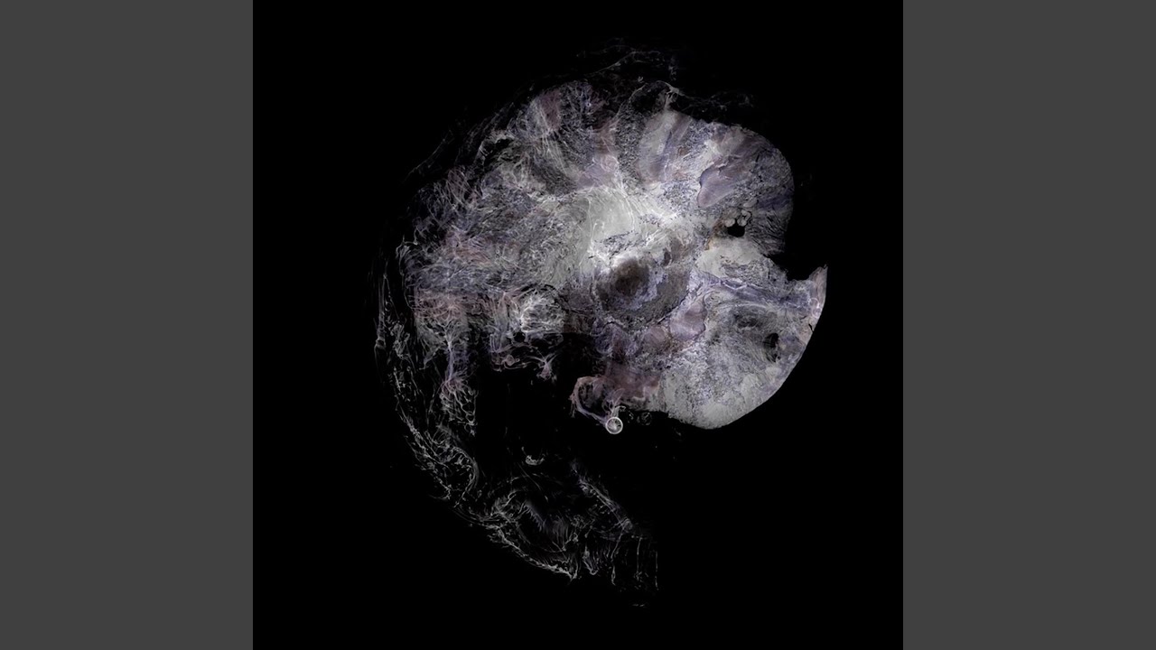 steel cicadas water waterdrops catalpa steel - YouTube