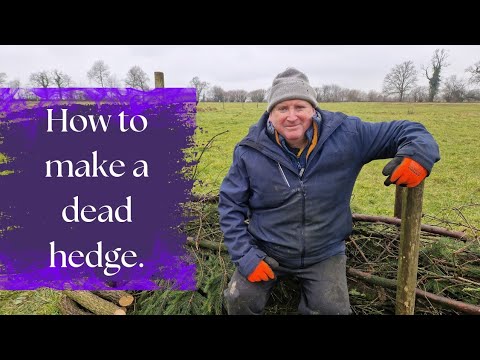 How to make a dead hedge for wildlife in your garden. - YouTube