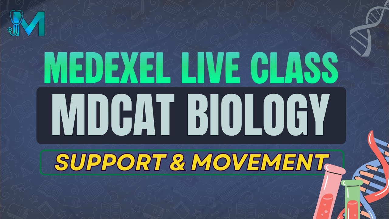 Support & Movement | MedExel Biology Free Class | MDCAT 2026 Bio ...