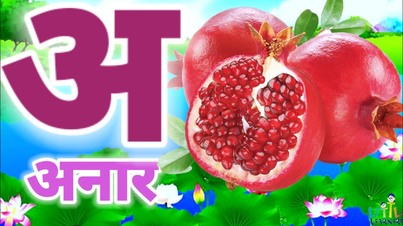 123 Numbers, learn to count, One two three, 1 to 20, 1 to 100 counting ...