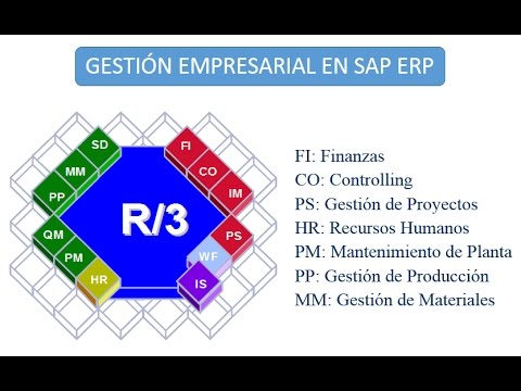 GESTIÓN EMPRESARIAL CON SAP ERP - YouTube