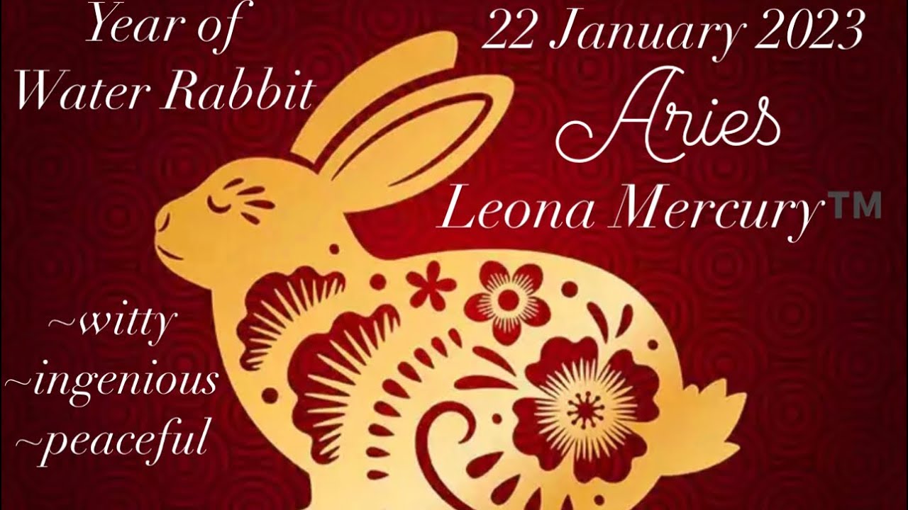 #Aries Year of the Rabbit #Tarot: Jan 2023–Link to Extended Below⤵️💜🪬 ...