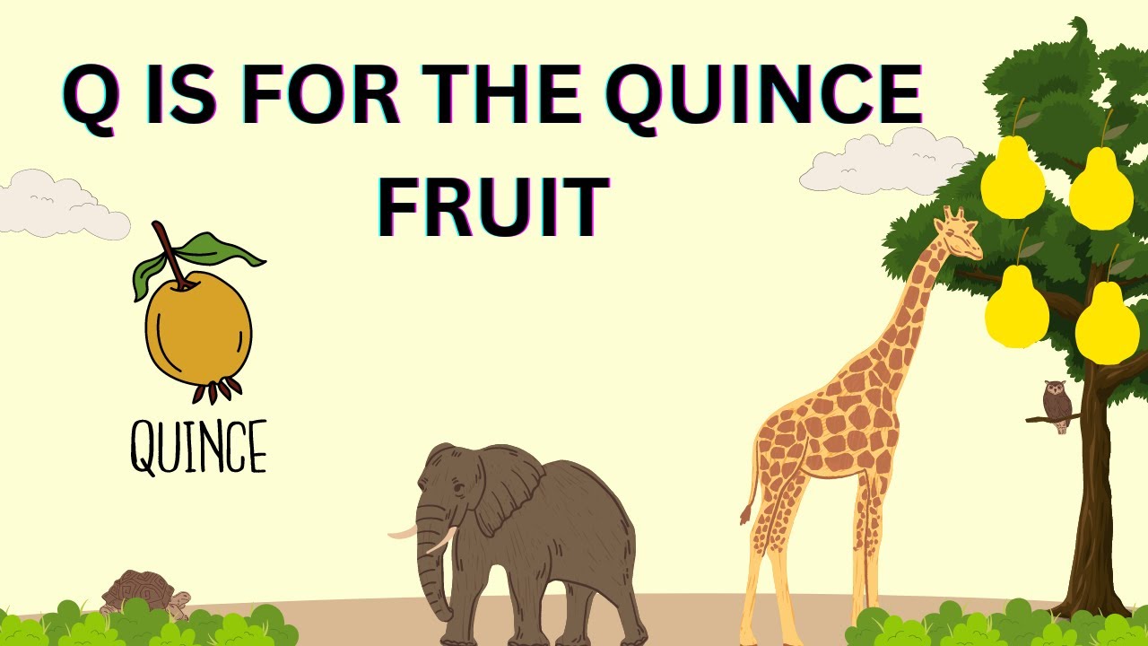 Q IS FOR THE QUINCE FRUIT QUINCE FRUIT SONG |Nursery Rhymes for ...
