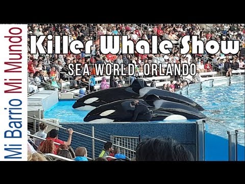 One Ocean at SeaWorld Orlando (Full Show) 2020 - YouTube