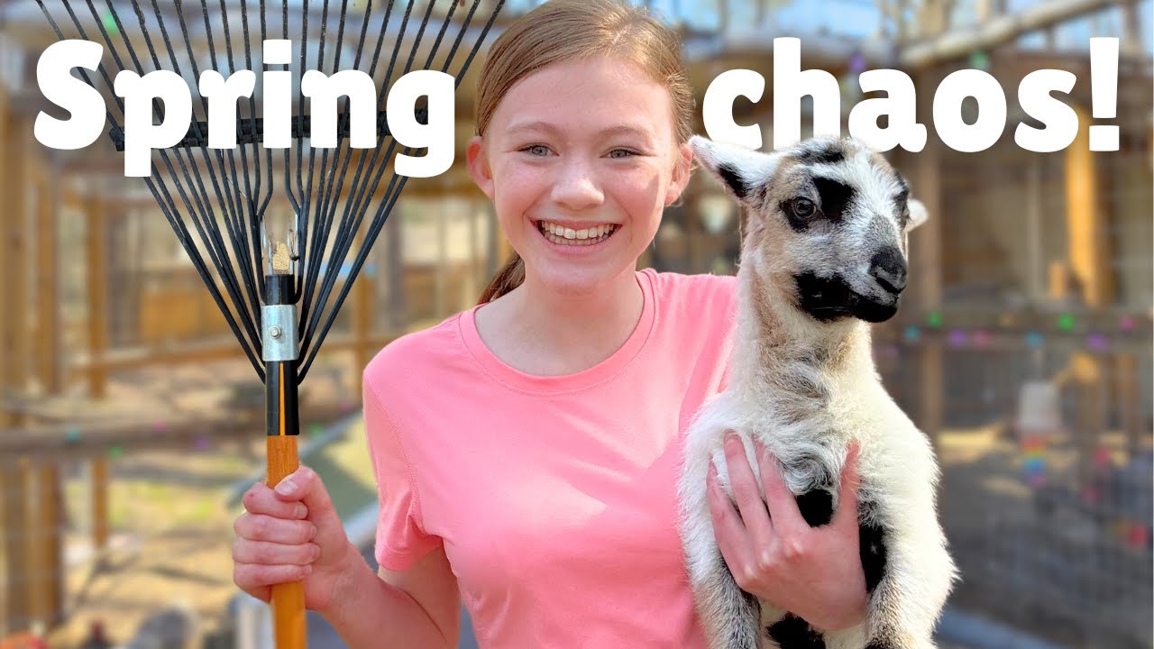 CRAZY spring cleaning with BABY ANIMALS! - YouTube