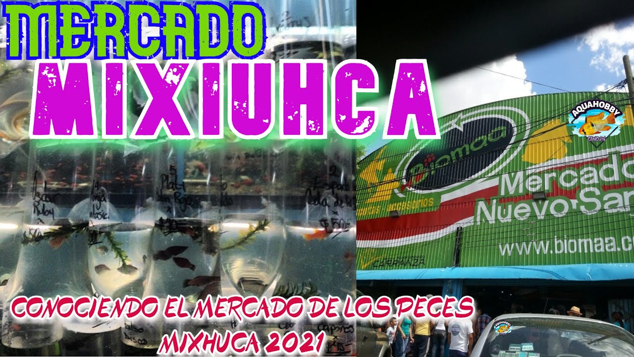 MIXHUCA MERCADO DE PECES mixhuca, mixiuhca, Mixiuhca - YouTube