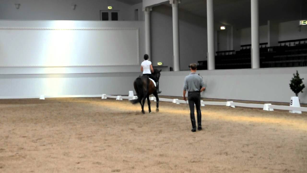 Lisa De Boes - YouTube