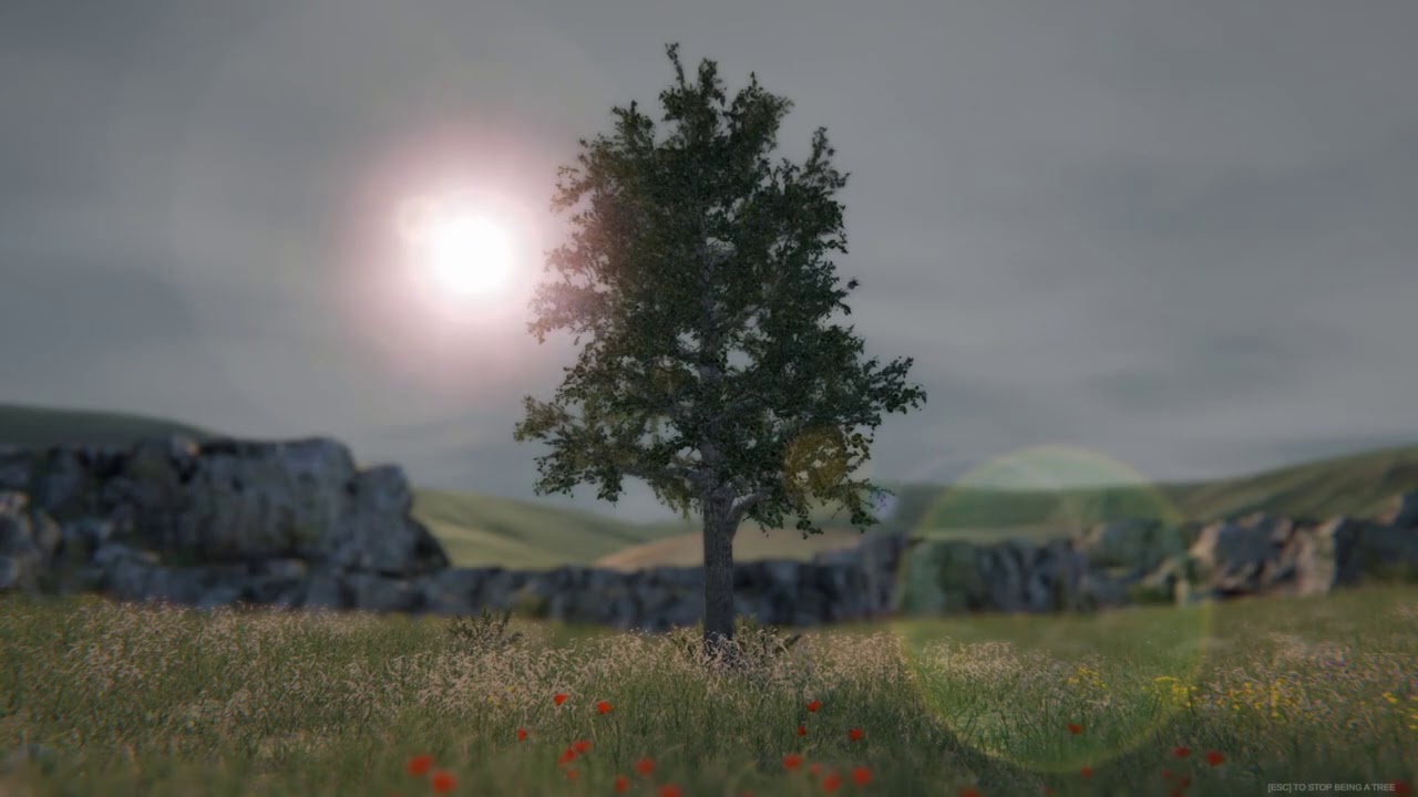 Tree Simulator 2020 on Steam Official Gameplay Trailer - YouTube