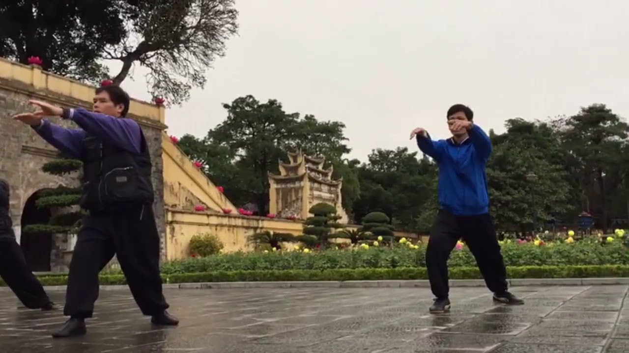 THÁI CỰC QUYỀN 24 (NHẠC DÀI) - YANG TAIJI 24 MUSIC - HANOI TAIJI CLUB ...