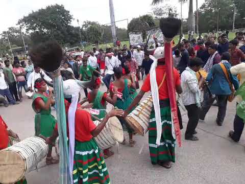 Kommu Dance and Gussadi Dance OU Arts College World Aadivasi Day ...
