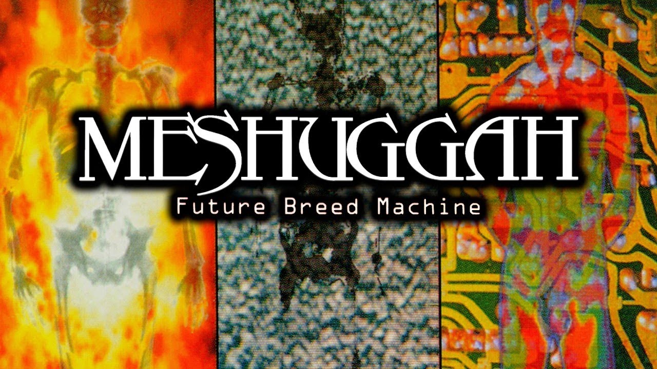 Future Breed Machine - Meshuggah (Cover) - YouTube