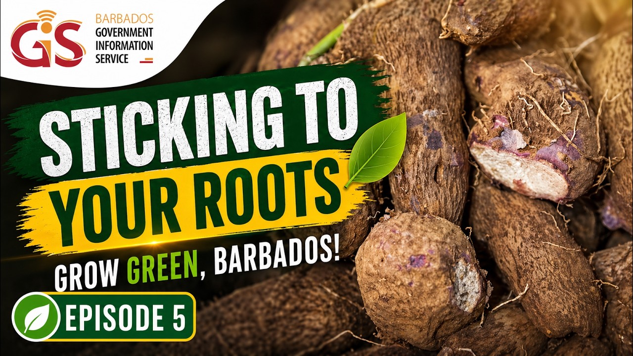 Grow Green Barbados - Episode 5 – Sticking to Your Roots - YouTube