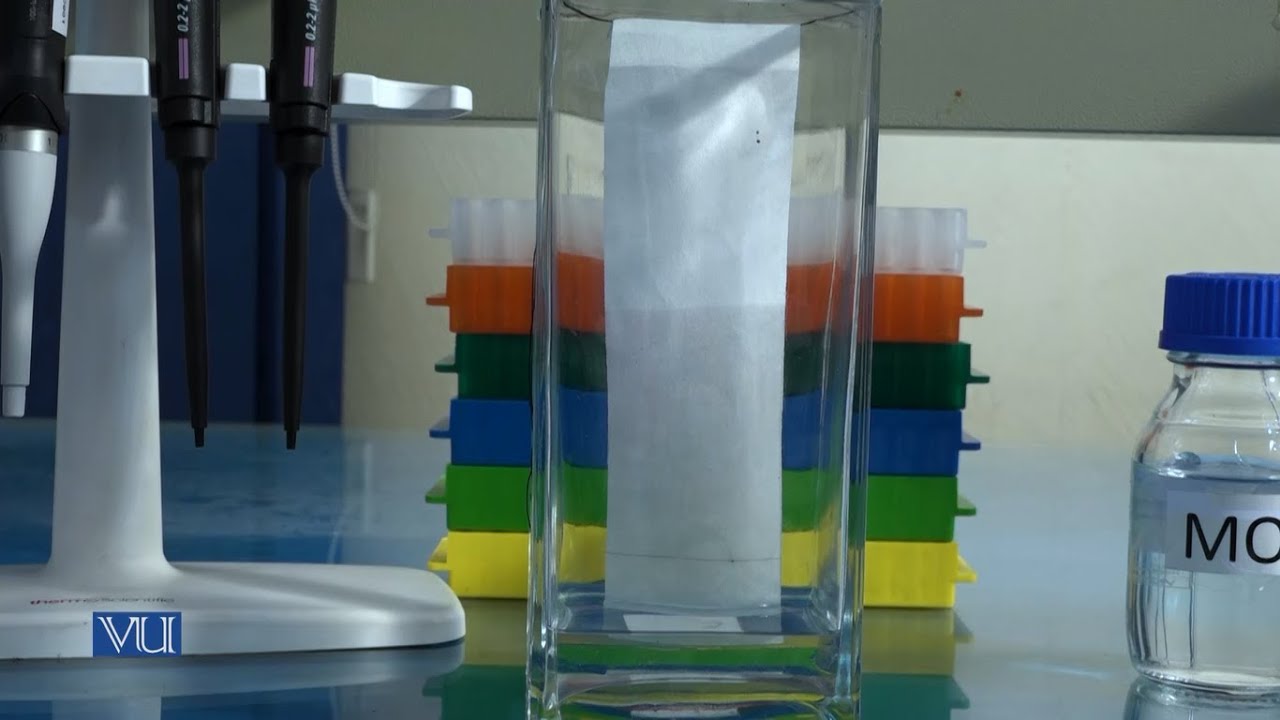 Paper Chromatography | Biological Techniques (Practical) | ZOO515P ...
