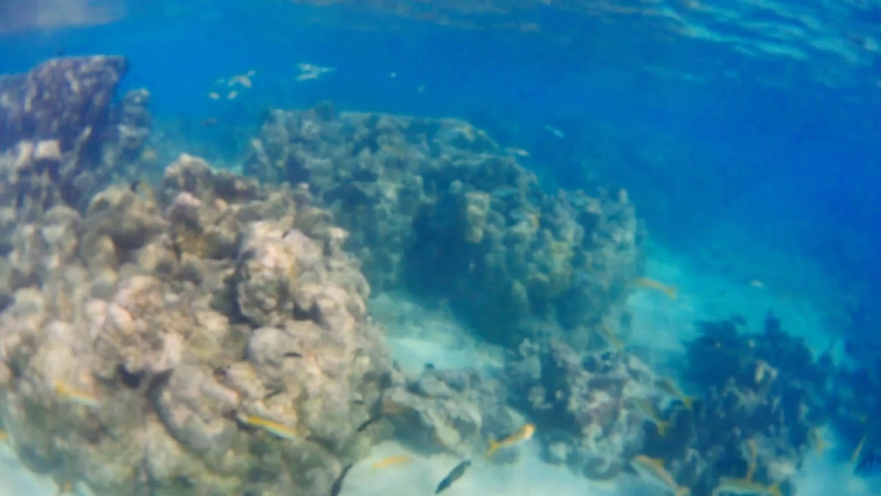 Rarotonga Snorkeling 2018 - YouTube