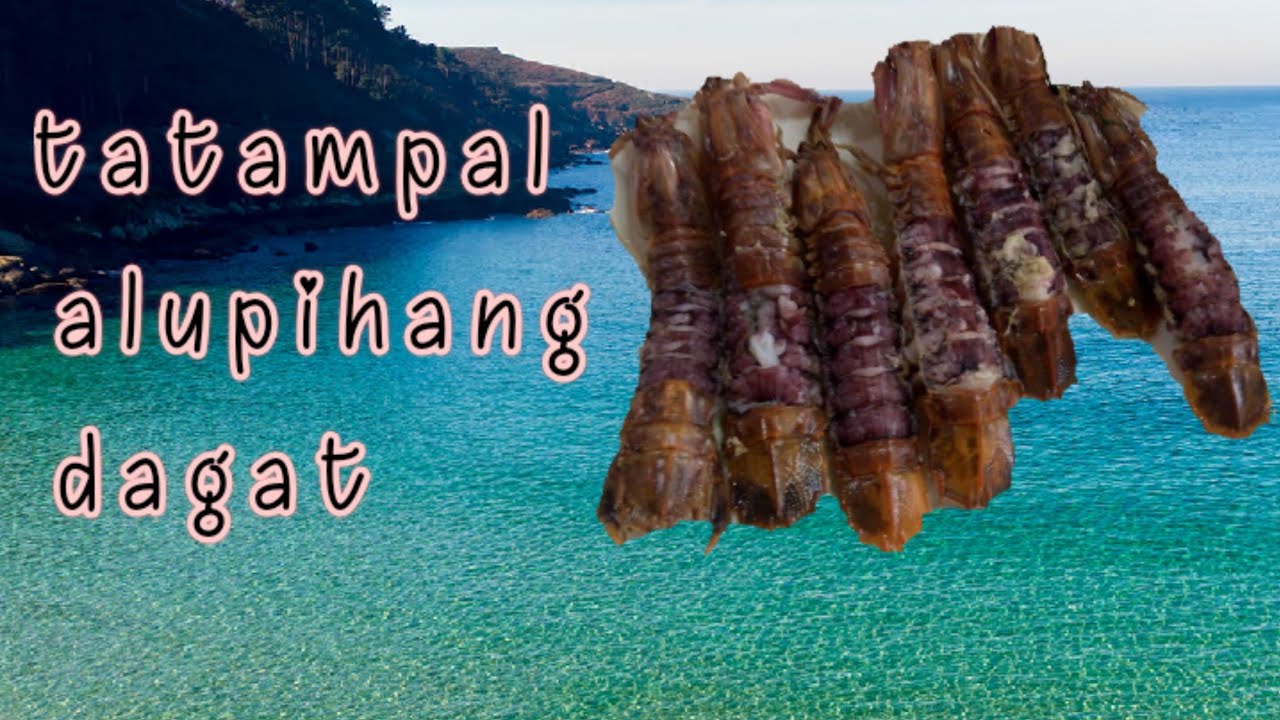 yummyseafoods+ how to eat mantis shrimps /tatampal - YouTube