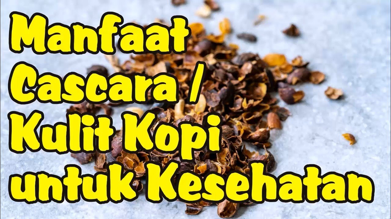 Manfaat Cascara atau Kulit Buah Kopi untuk Kesehatan - YouTube