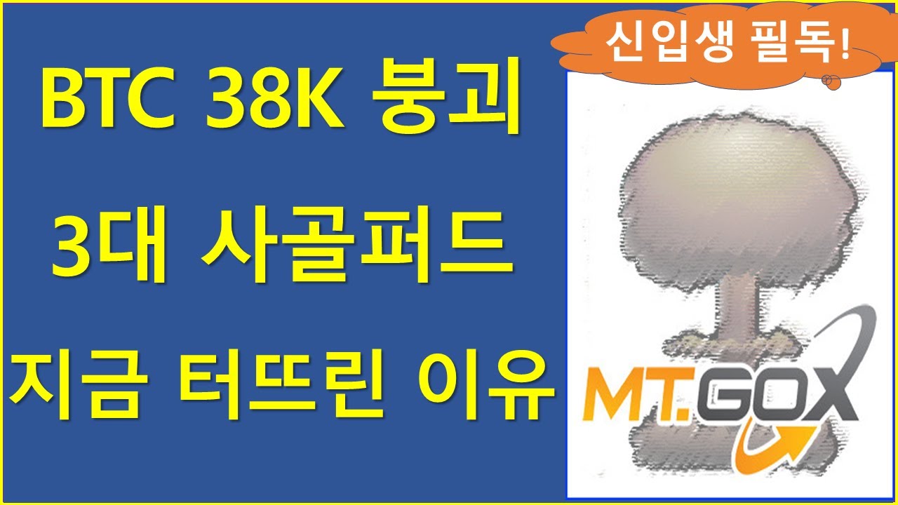 신입분들께서 하락에 놀라실까봐 급하게 영상 만들어봅니다리플 비트코인 이더리움 블랙록 에이다 솔라나 도지 폴카닷 알고랜드 Imx